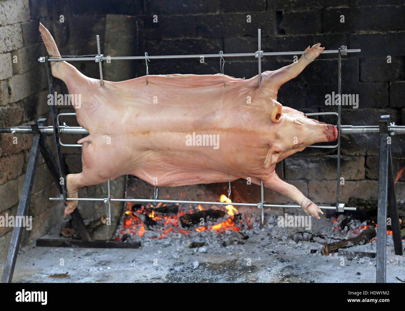 Fat pig hi-res stock photography and images - Alamy