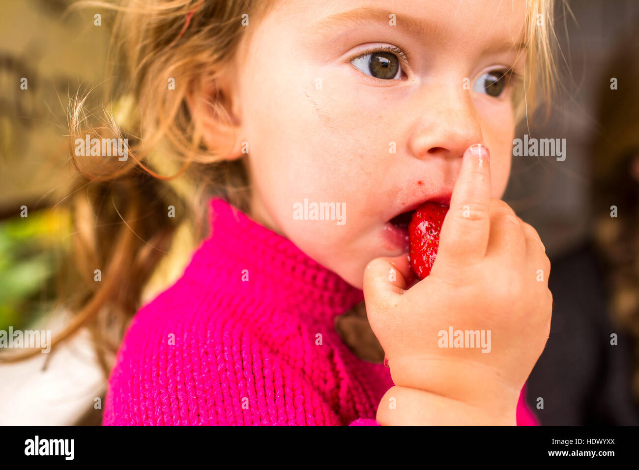 Caucasian girl eating strawberry Stock Photo - Alamy