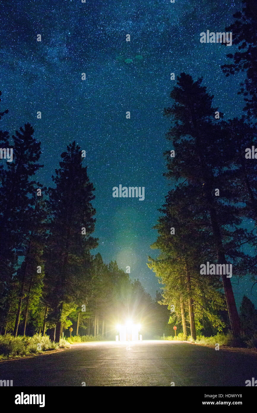 Glowing lights in forest road Stock Photo - Alamy