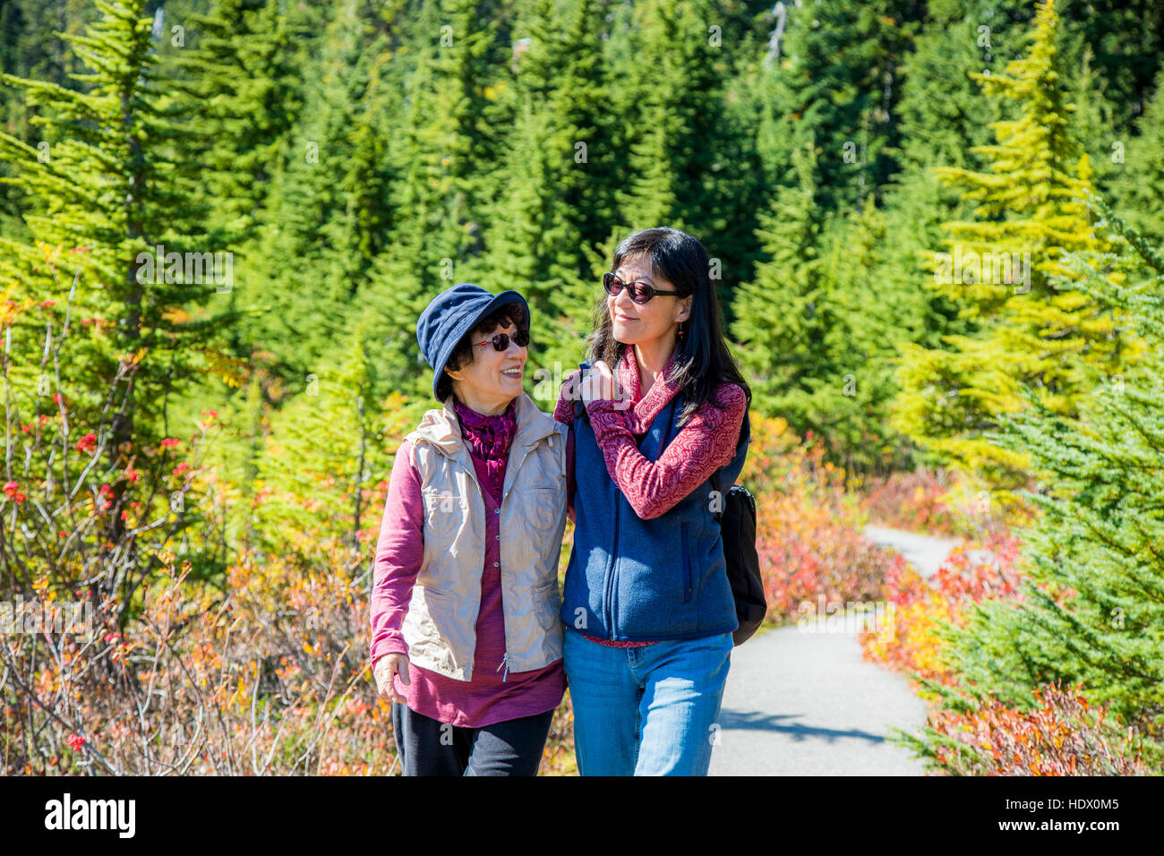 Older Japanese mother and daughter walking on nature path Stock Photo - Alamy