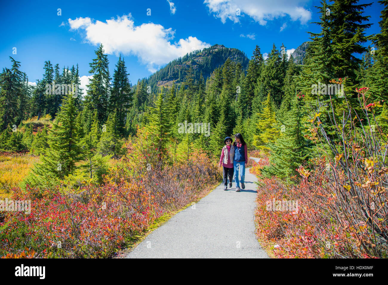 Older Japanese mother and daughter walking on nature path Stock Photo - Alamy