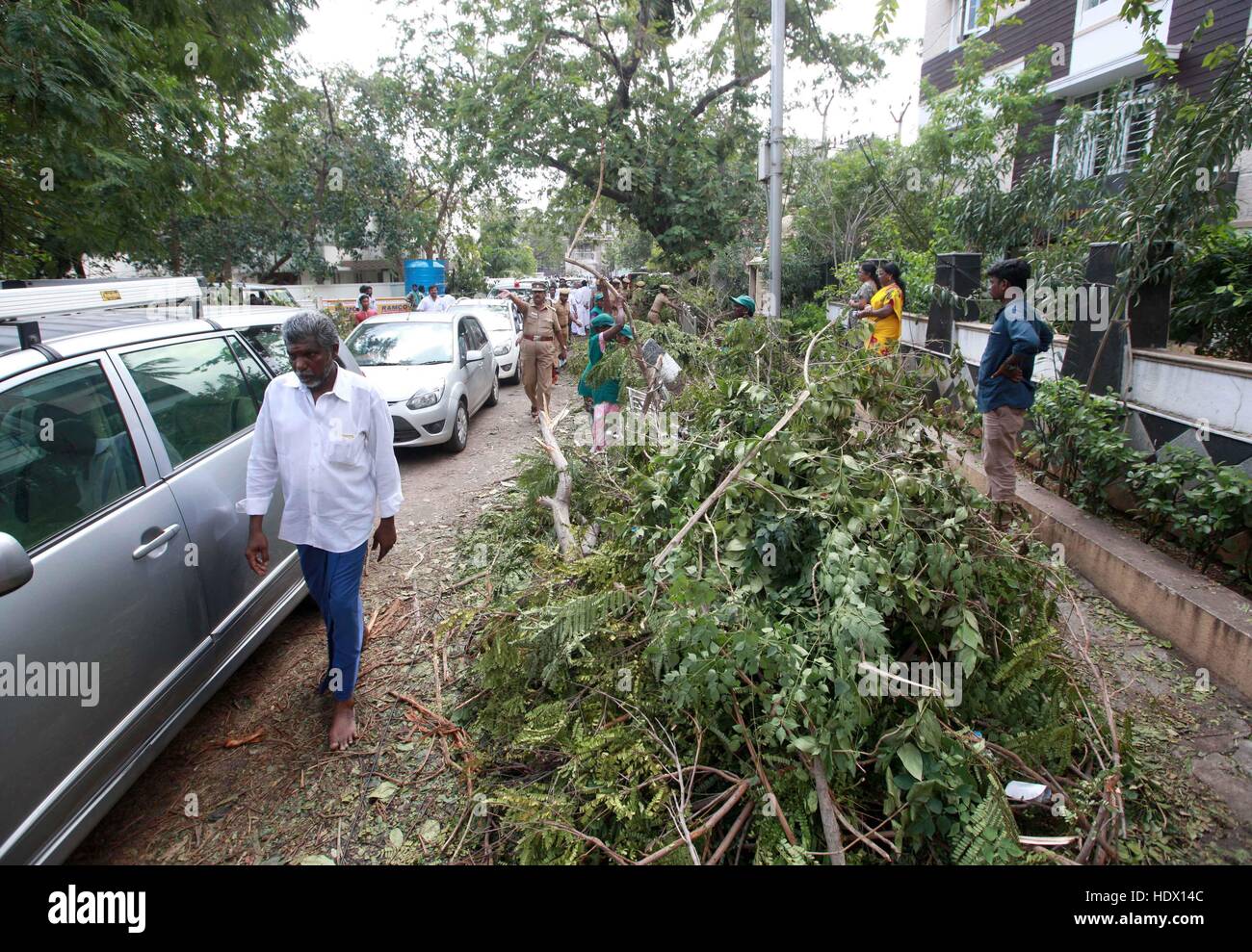 India tropical storm hi-res stock photography and images - Alamy