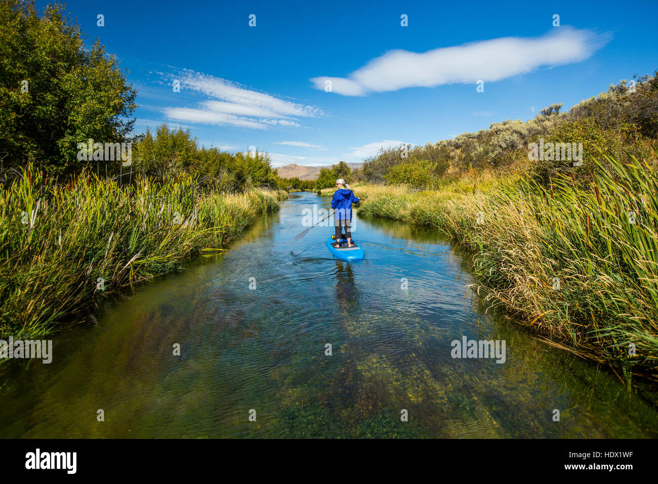 Caucasian woman paddleboarding on river Stock Photo - Alamy