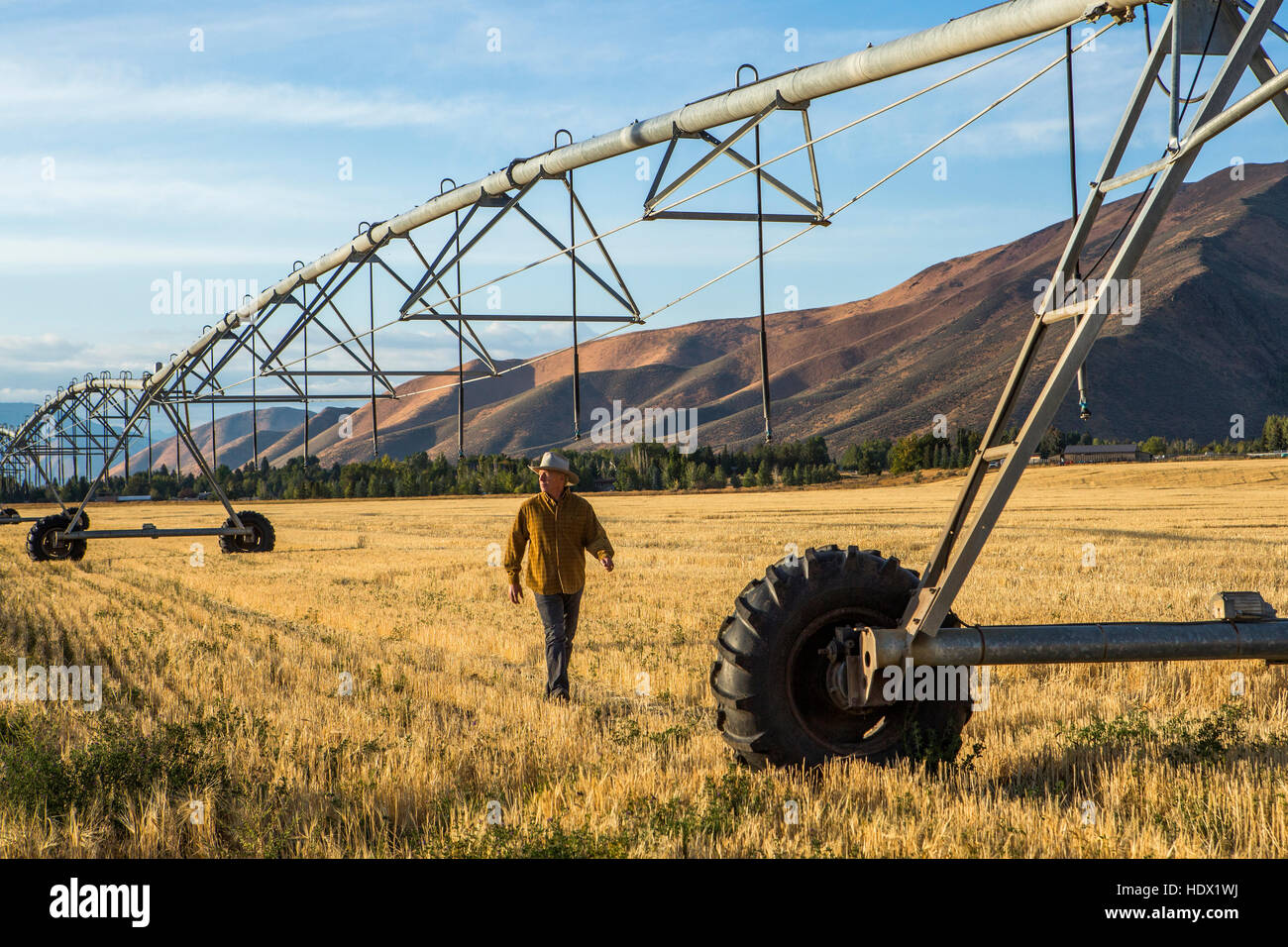 Caucasian farmer walking near irrigation equipment Stock Photo - Alamy