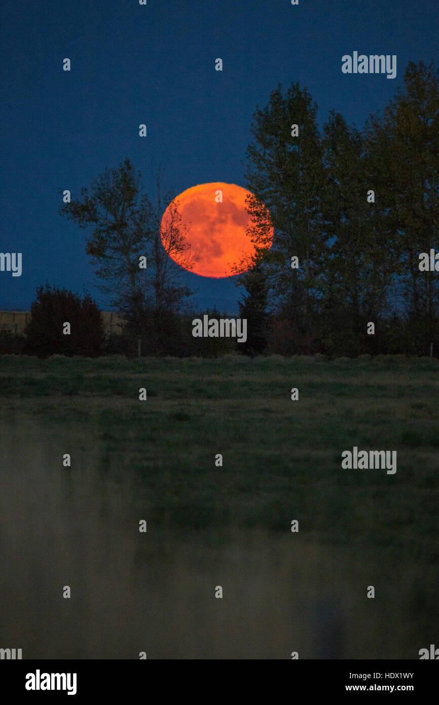Orange full moon over landscape Stock Photo - Alamy