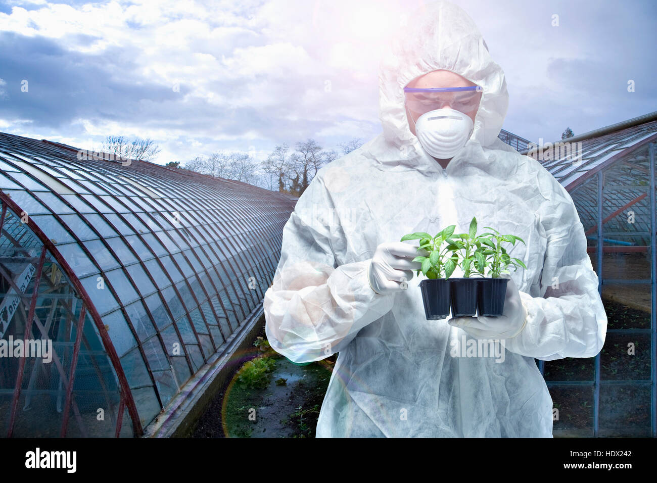 Caucasian scientist wearing clean suit examining seedling Stock Photo ...