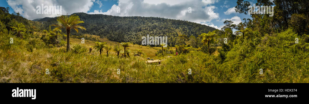 Mount wilhelm papua new guinea hi-res stock photography and images - Alamy