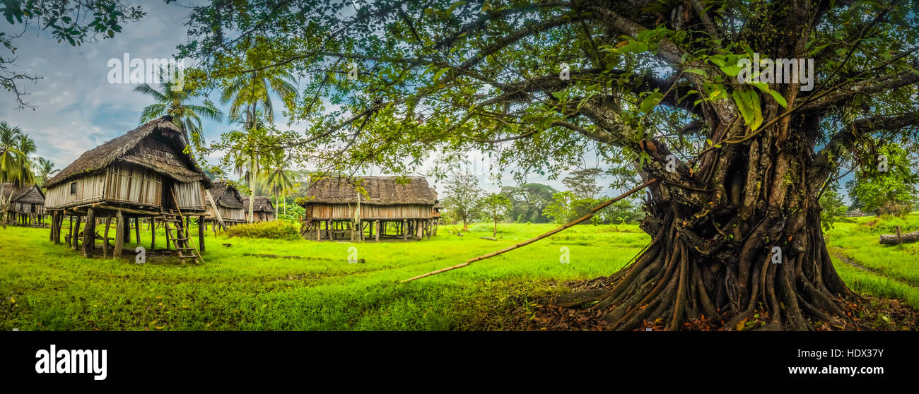 Papua new guinea tree house hi-res stock photography and images - Alamy