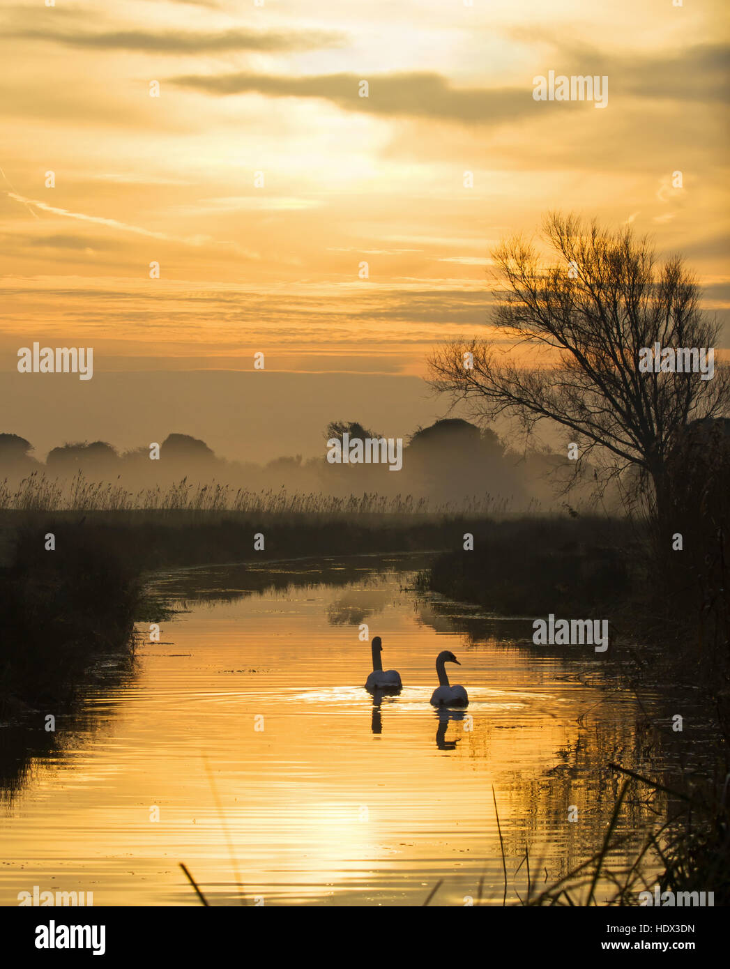 Pevensey Levels High Resolution Stock Photography and Images - Alamy