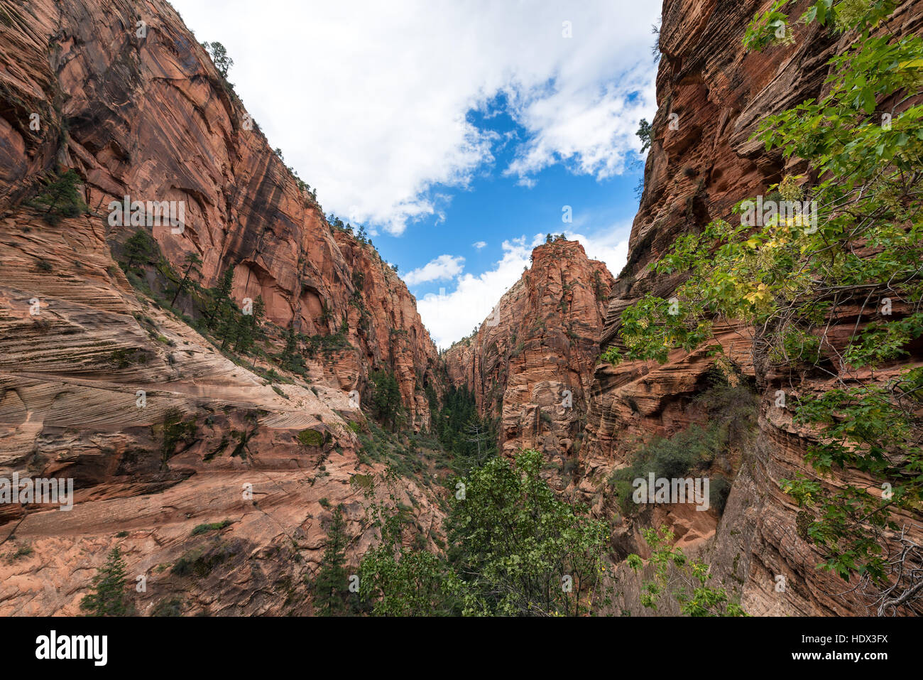 Zion national park nature hi-res stock photography and images - Alamy