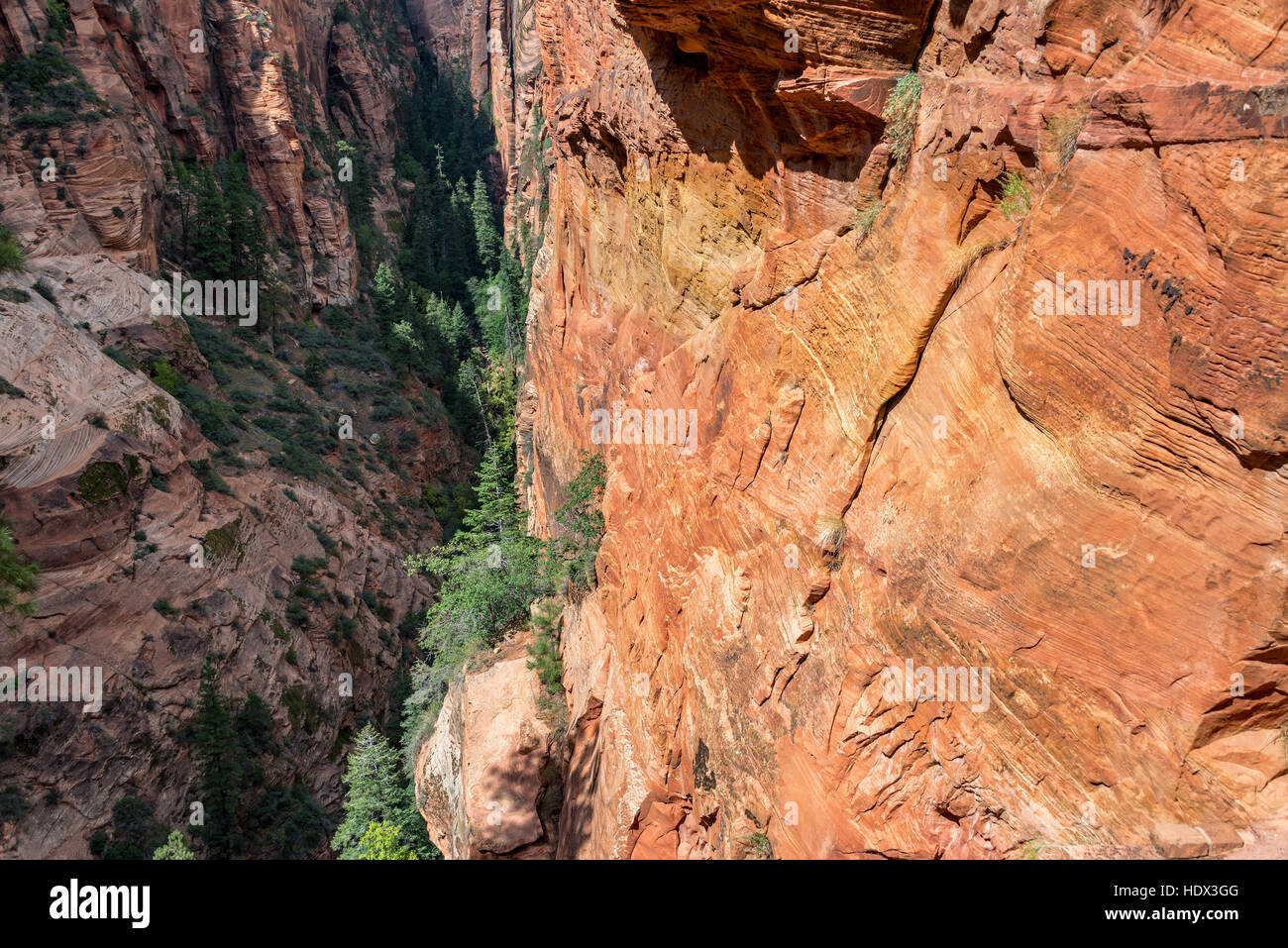 Looking down into a steep narrow canyon in Zion National Park Stock ...