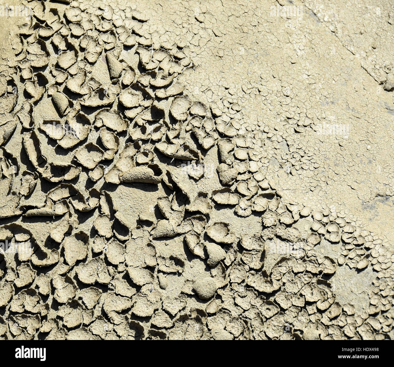 Textured surface of dry mud at the river's edge, Crackled and curling ...