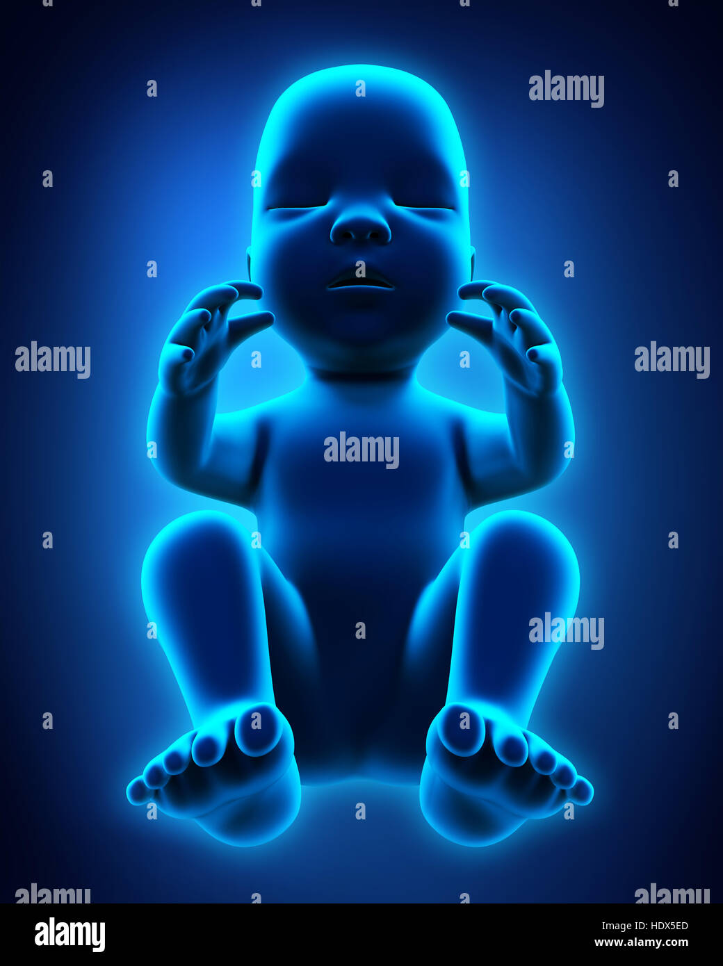 Human anus hi-res stock photography and images - Alamy