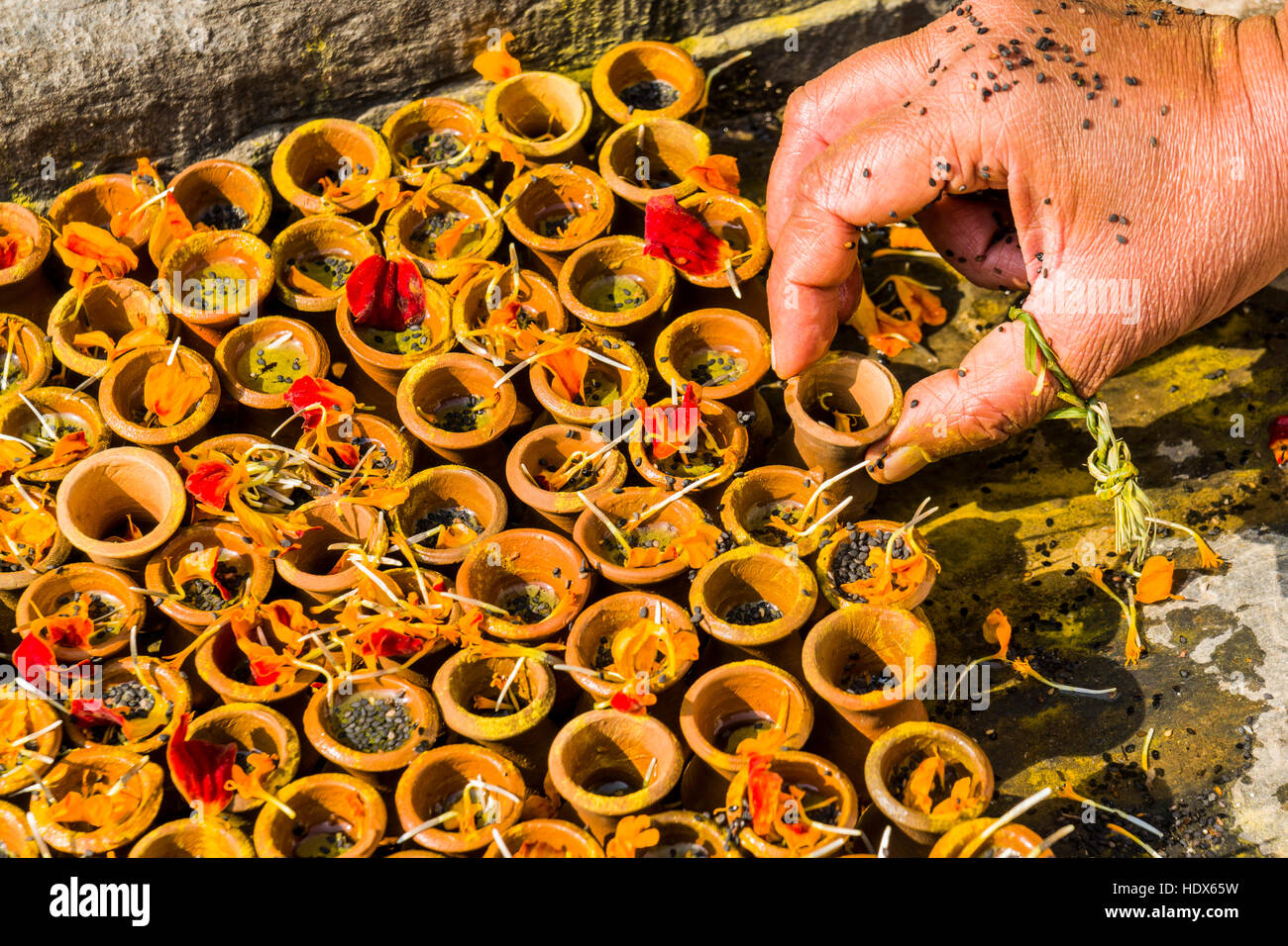 The hand of a devoty is taking small clay pots during the religious ...