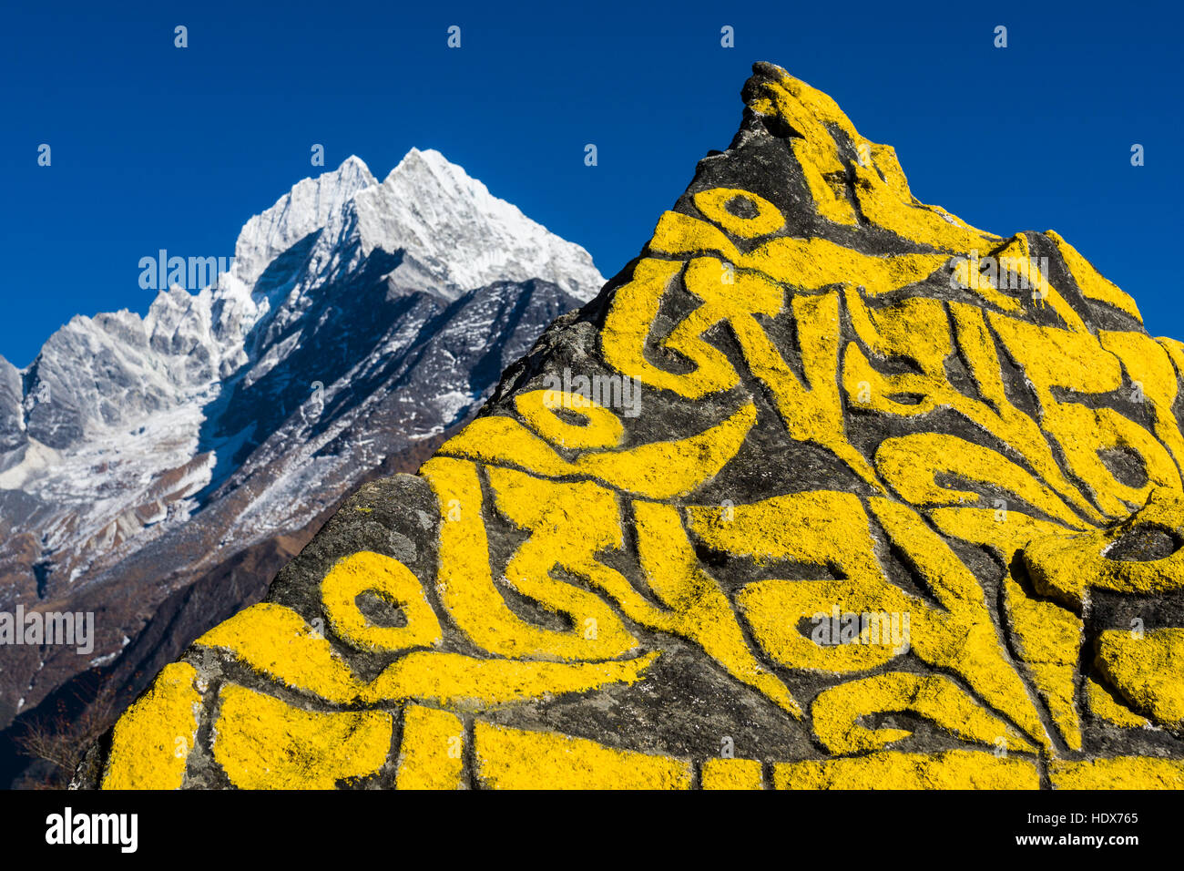 Tibetan Om Wallpaper