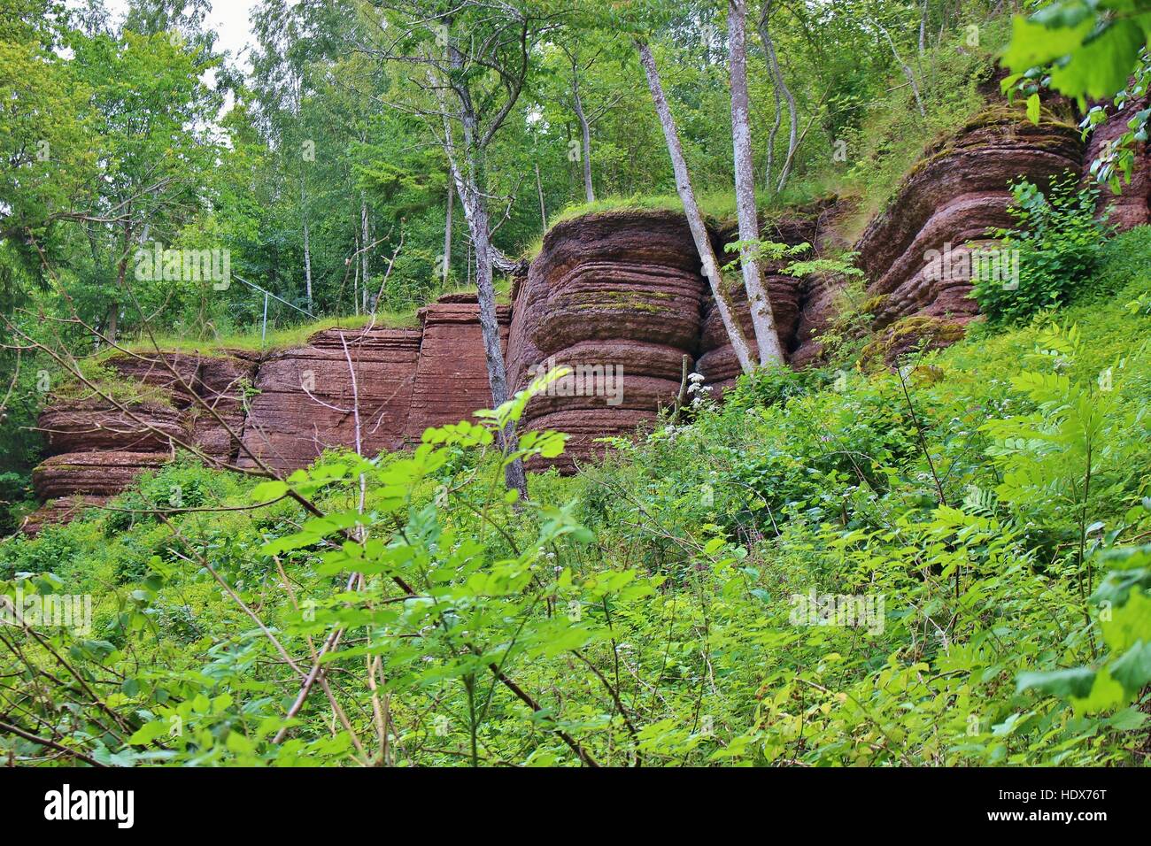 In the Nature reserve area Kinnekulle, Sweden: Limestone cliffs which ...