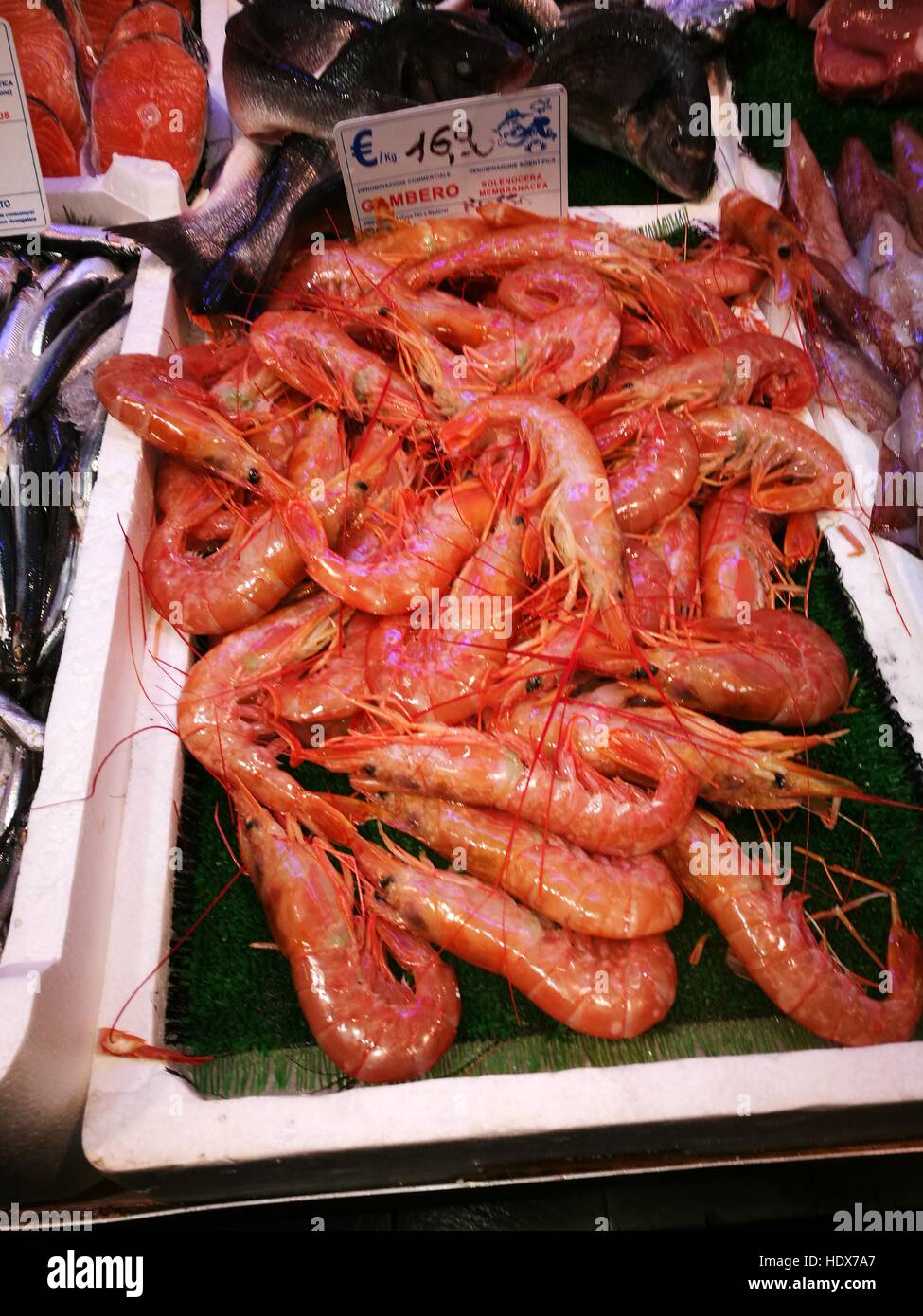 Shrimp in fish market Stock Photo - Alamy