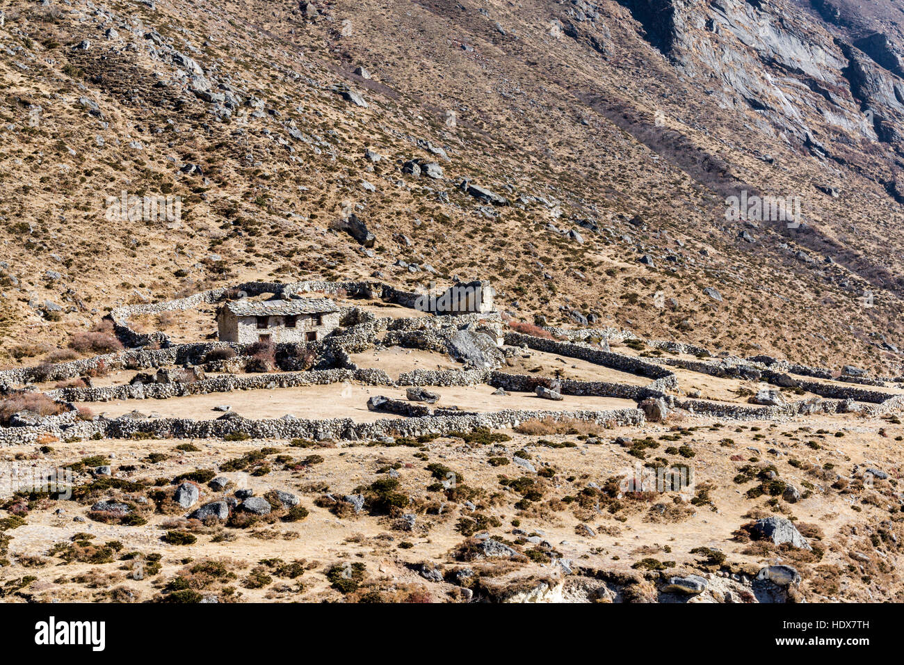 A farmers house surrounded by stone walls on a mountain slope in Bhote ...