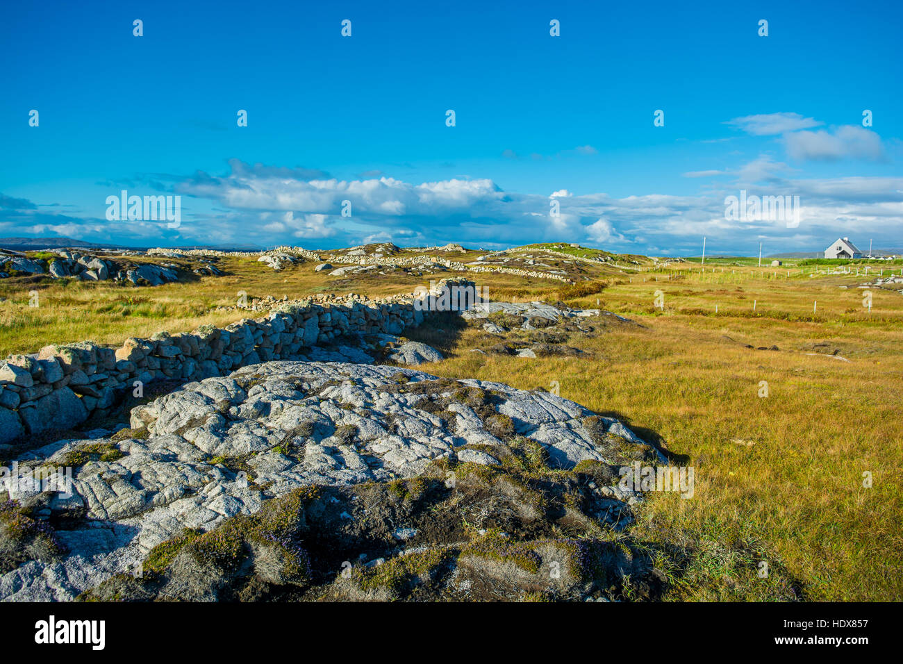 Remote House in Connemara in Ireland Stock Photo - Alamy