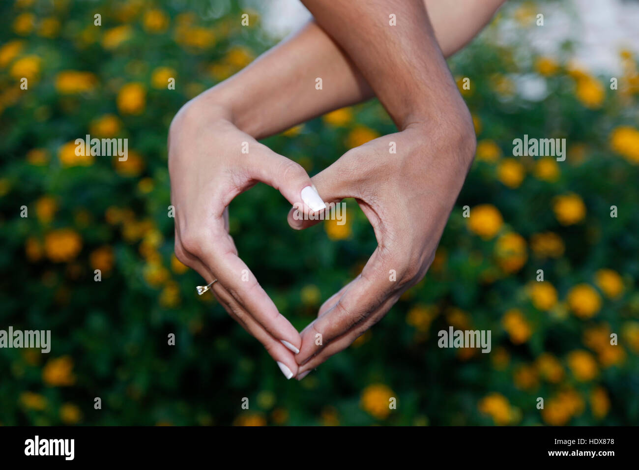 Couple making heart shape hands hi-res stock photography and images - Alamy