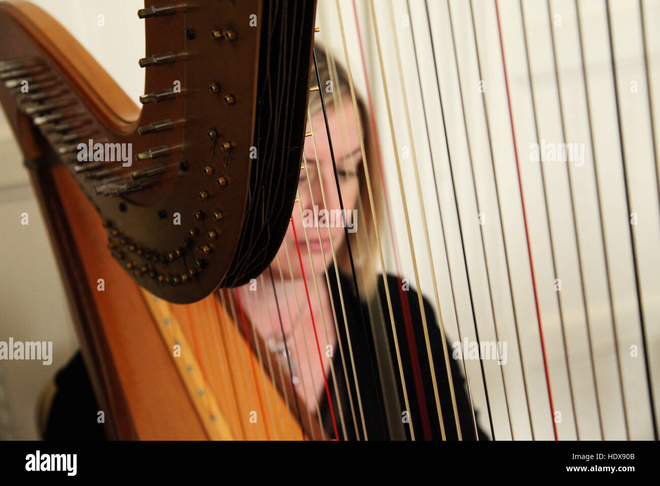 A harpist playing her harp Stock Photo - Alamy