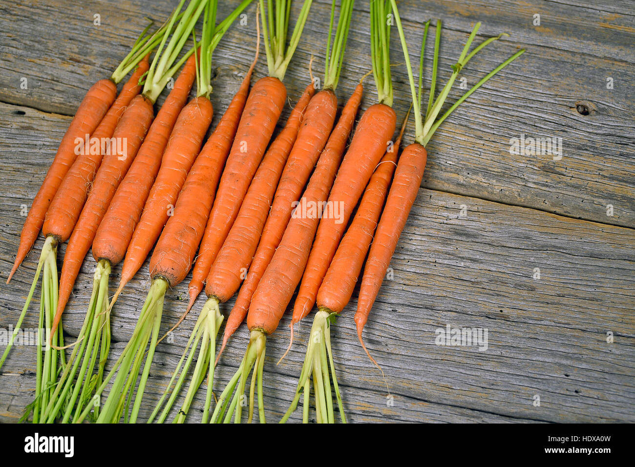 Carrot stalk hi-res stock photography and images - Alamy