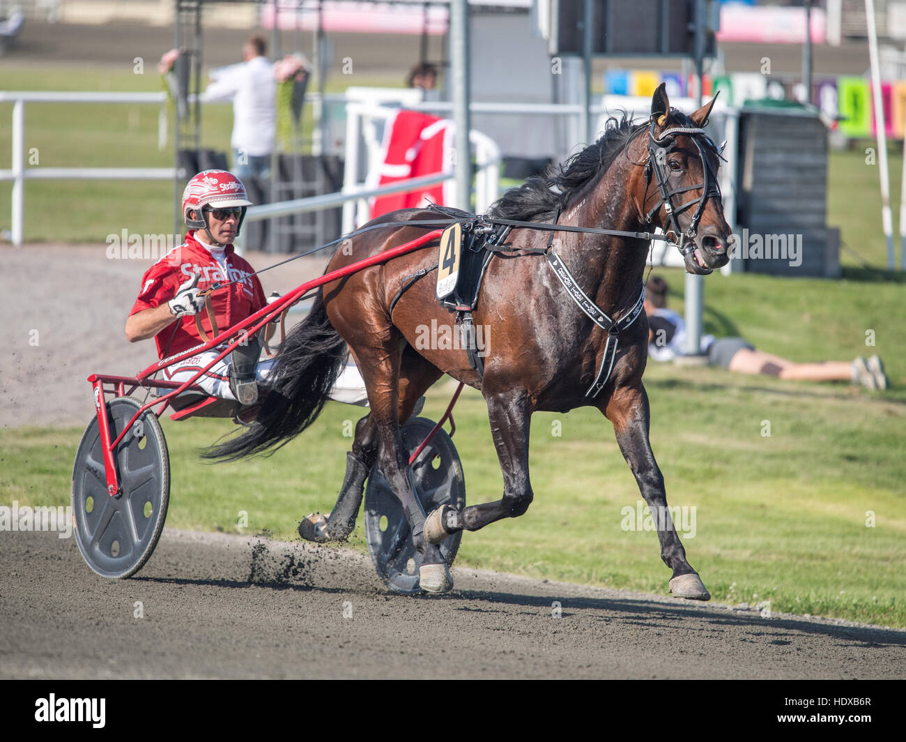 Successful swedish harness racing driver hi-res stock photography and ...