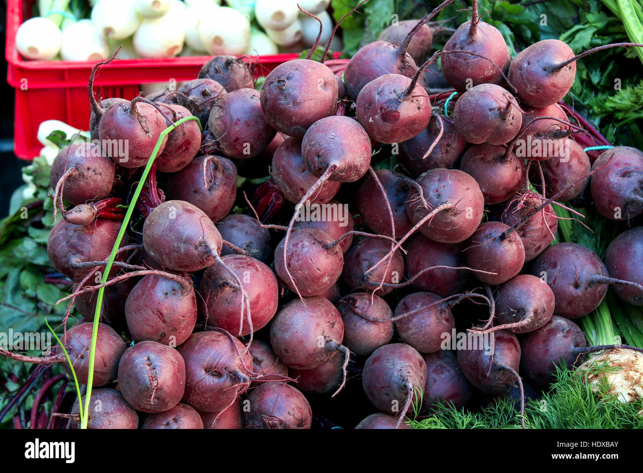 Beetroot plants outdoors hi-res stock photography and images - Alamy