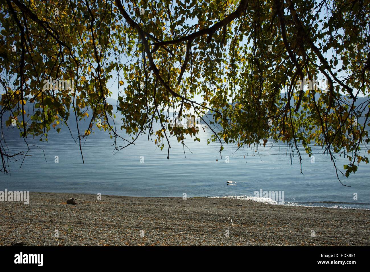 Mountain lake. Teletskoye in Altai Stock Photo - Alamy
