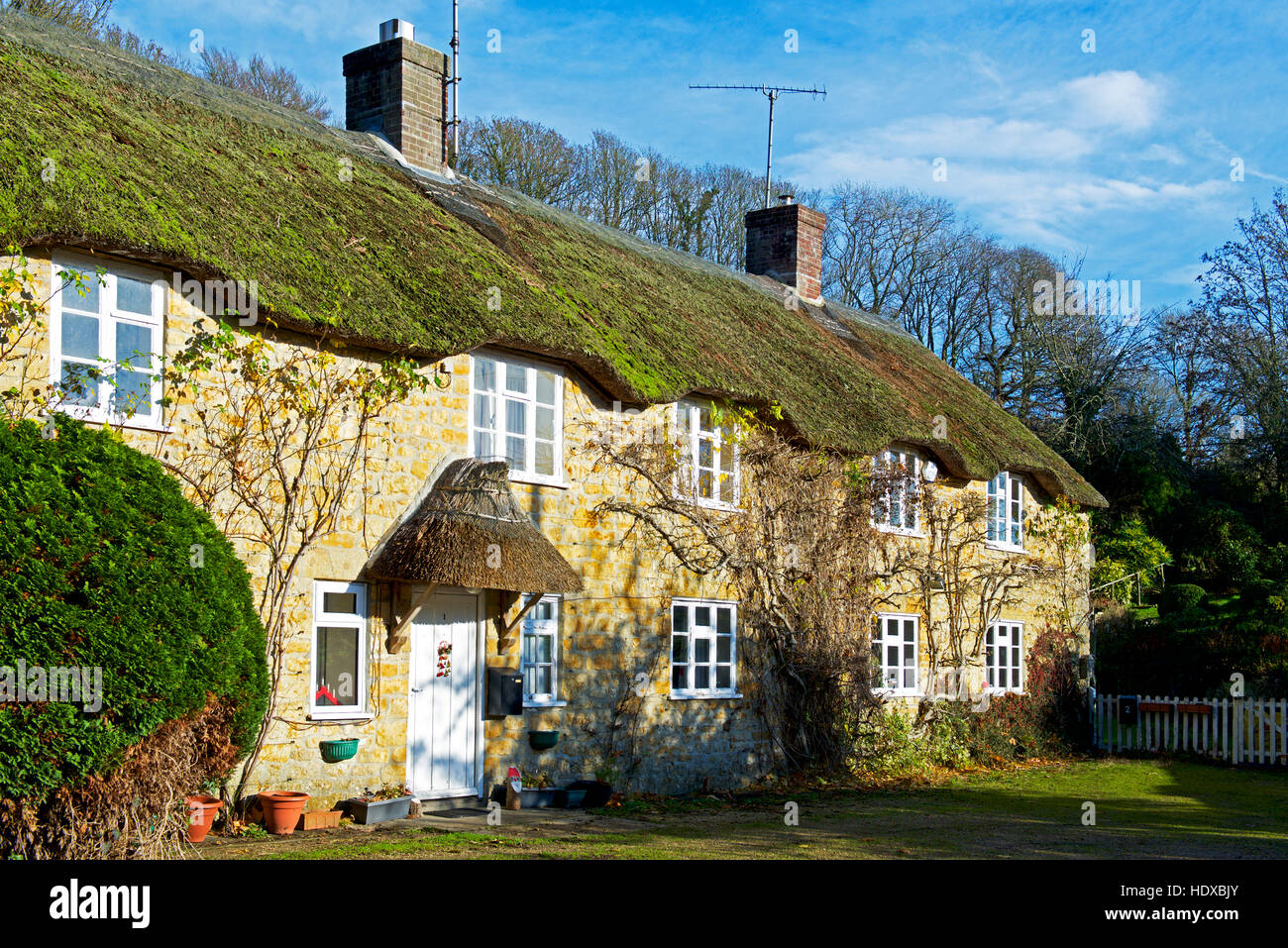 Loders village dorset hi-res stock photography and images - Alamy
