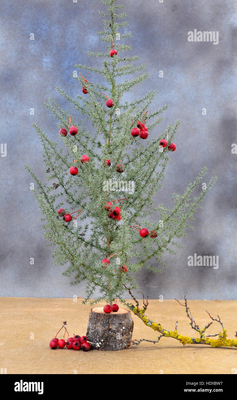 little Christmas natural tree Stock Photo - Alamy