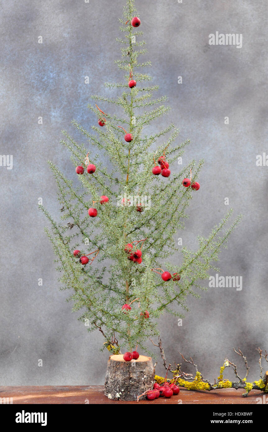 little Christmas natural tree Stock Photo - Alamy