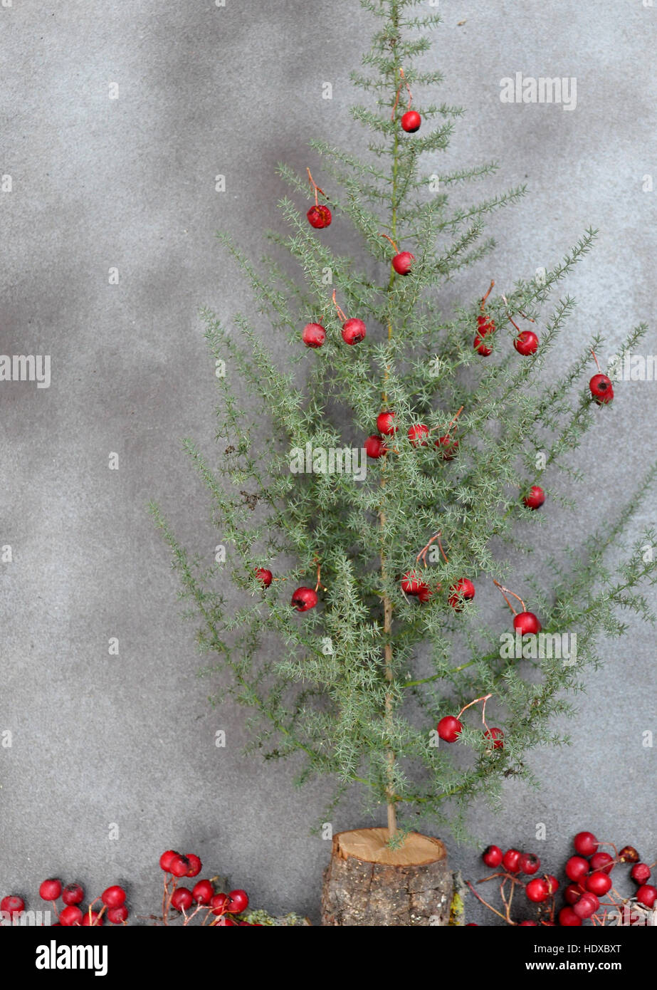 little Christmas tree Stock Photo - Alamy