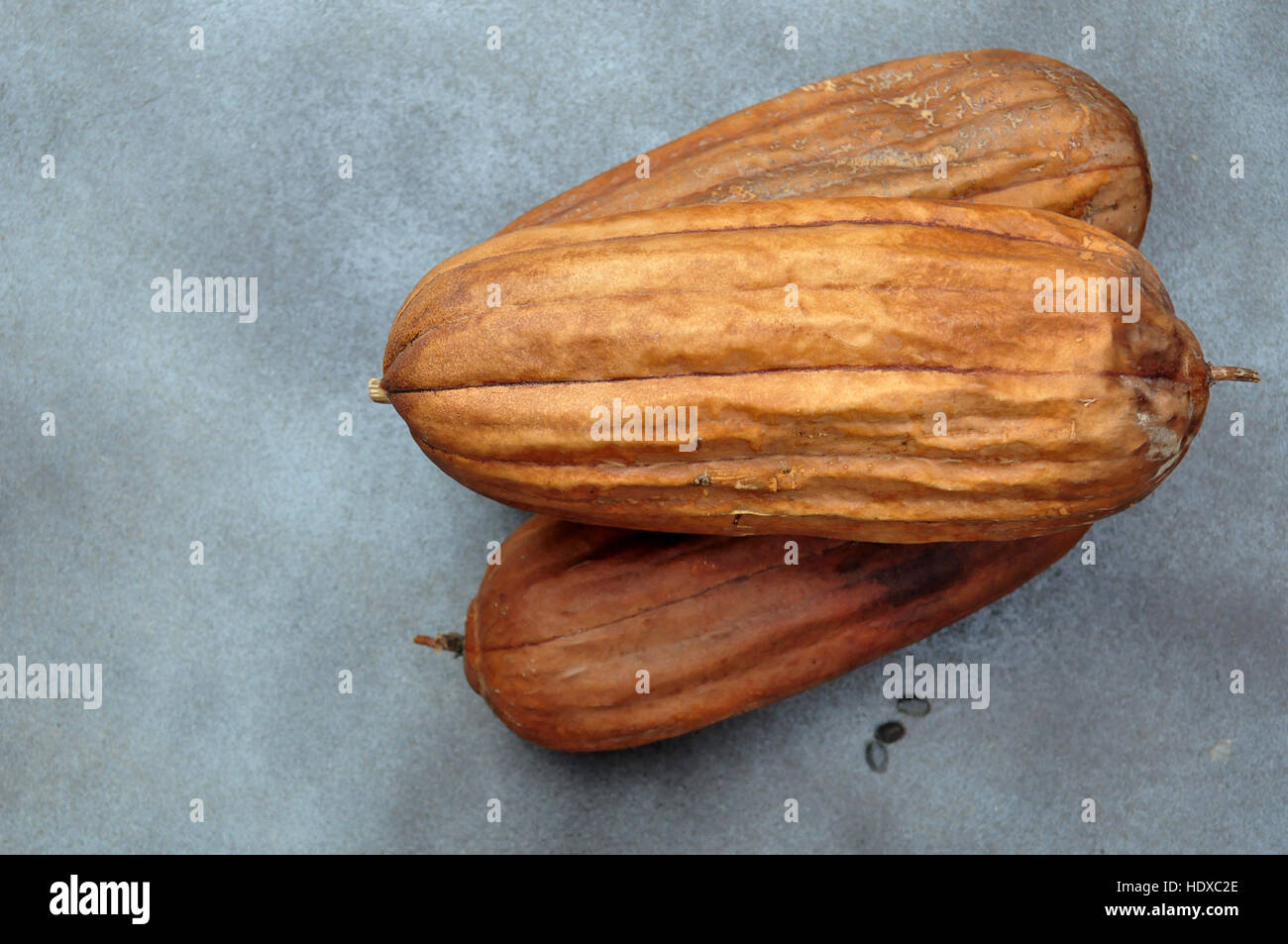 pumpkin natural sponge Stock Photo - Alamy