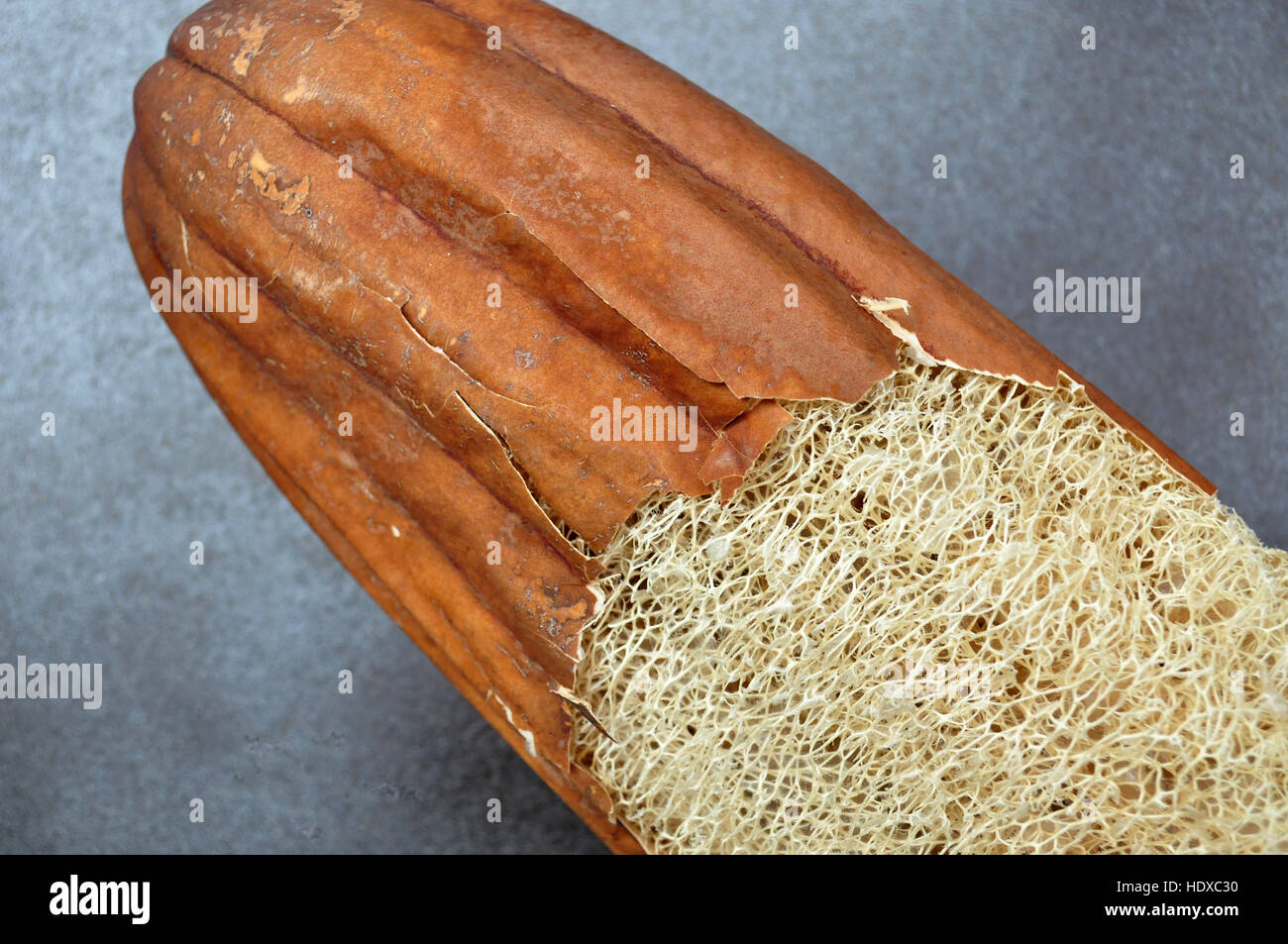 pumpkin natural sponge Stock Photo - Alamy