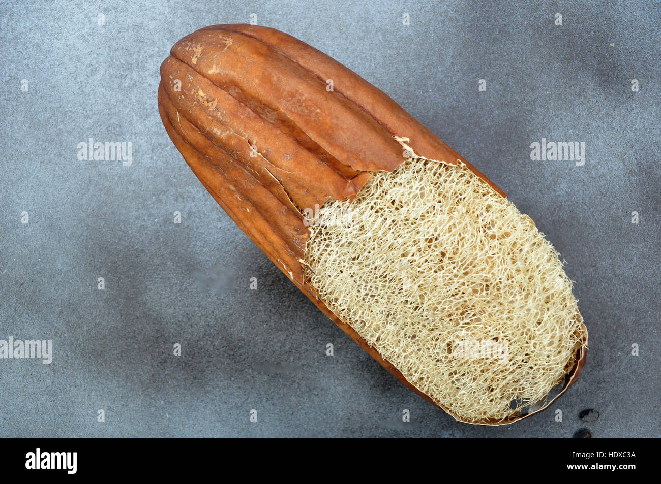 pumpkin natural sponge Stock Photo - Alamy