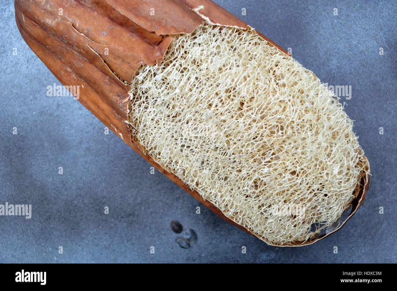 pumpkin natural sponge Stock Photo - Alamy