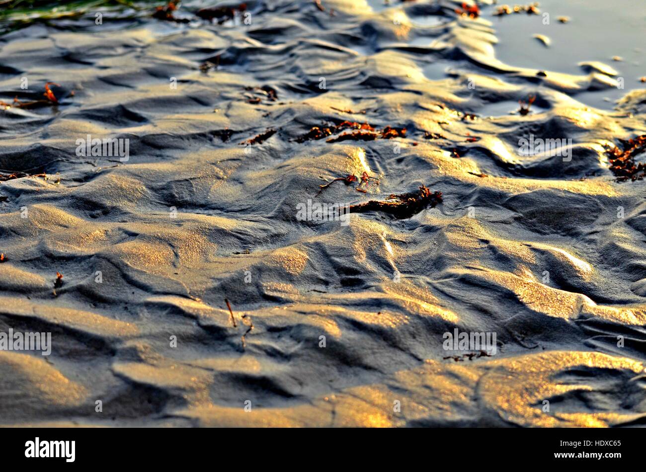 Sun on the Sand Stock Photo - Alamy