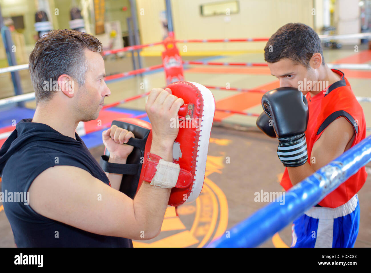 Teen boxer hi-res stock photography and images - Alamy