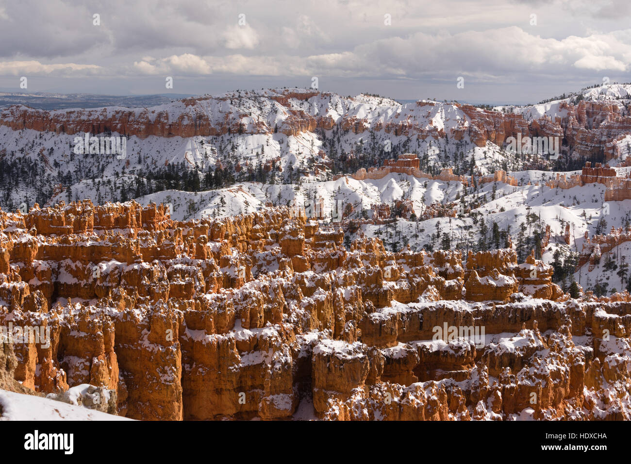 Bryce Canyon Fresh Snow Fall Utah USA Stock Photo - Alamy