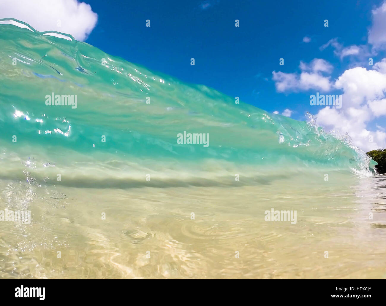 Tropic wave hi-res stock photography and images - Alamy