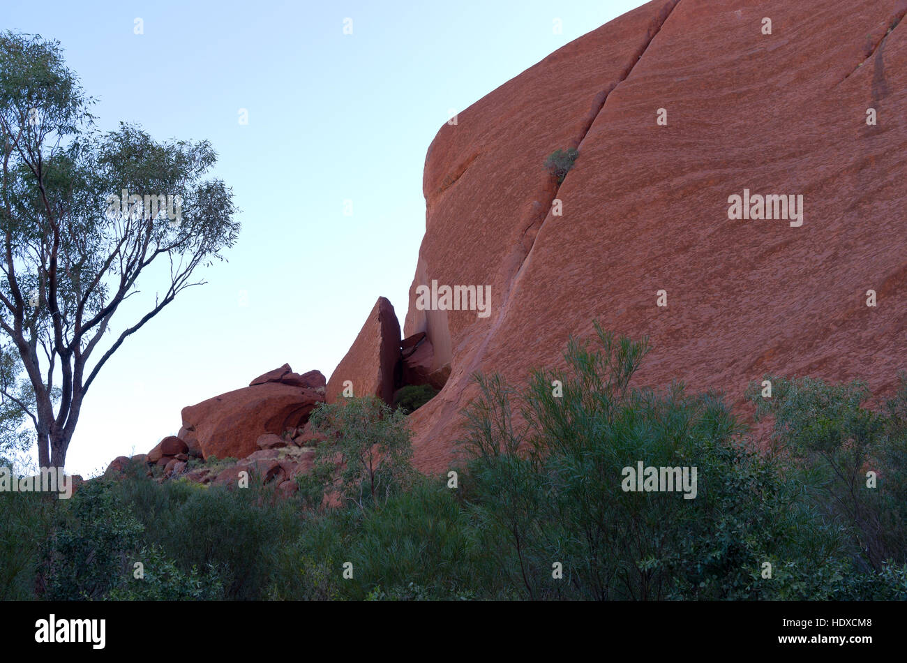 uluru ridge against clear sky and trees in uluru kata tjuta national ...