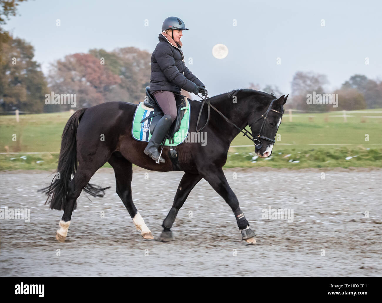 Riding horse full moon hi-res stock photography and images - Alamy