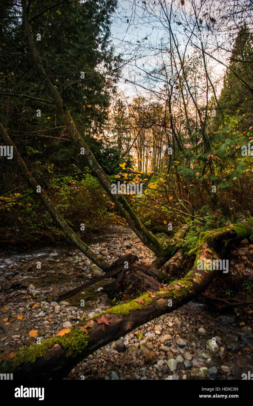 Sunset in the Byrne Creek Stock Photo - Alamy