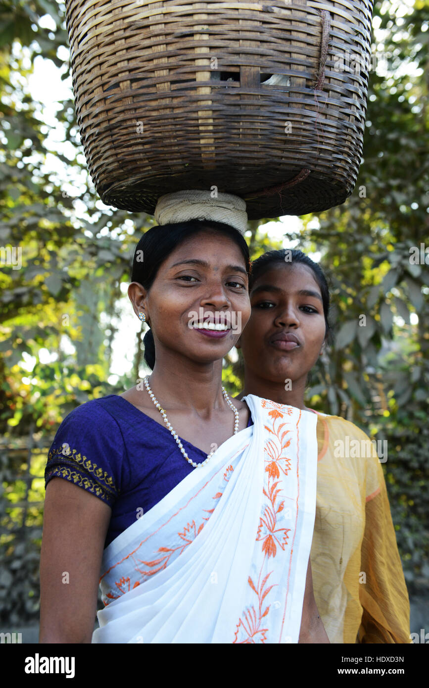 Tea workers walking to the tea plantation for work Stock Photo - Alamy