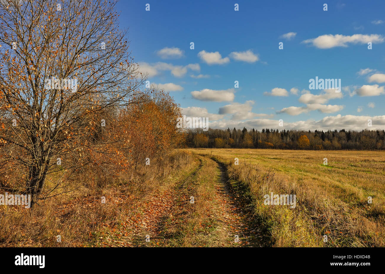 Autumn rural landscape with road Stock Photo - Alamy
