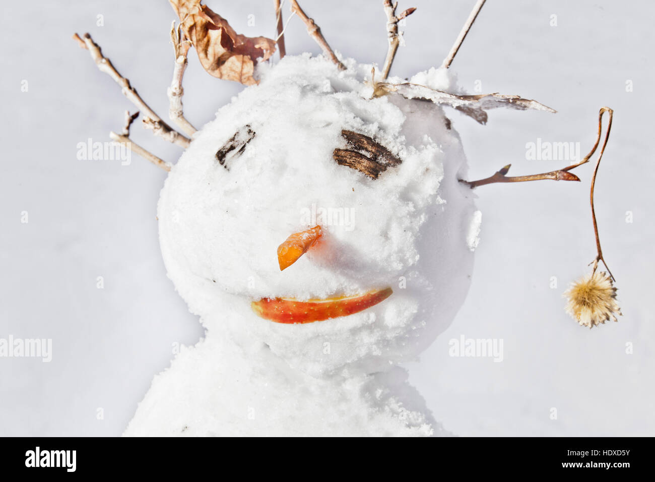 Snowman funny hi-res stock photography and images - Alamy