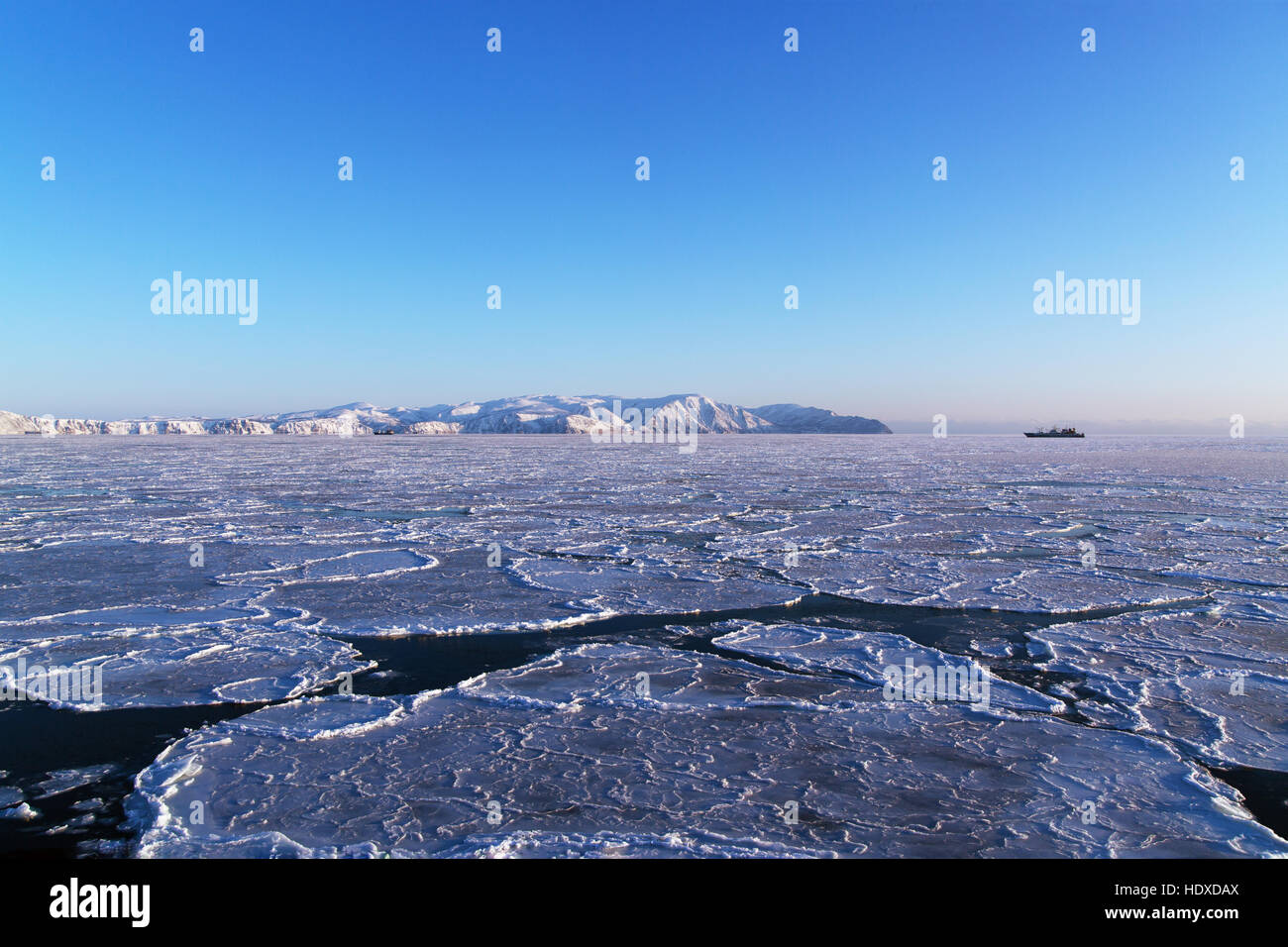 Young ice in the bay Shelting Stock Photo - Alamy