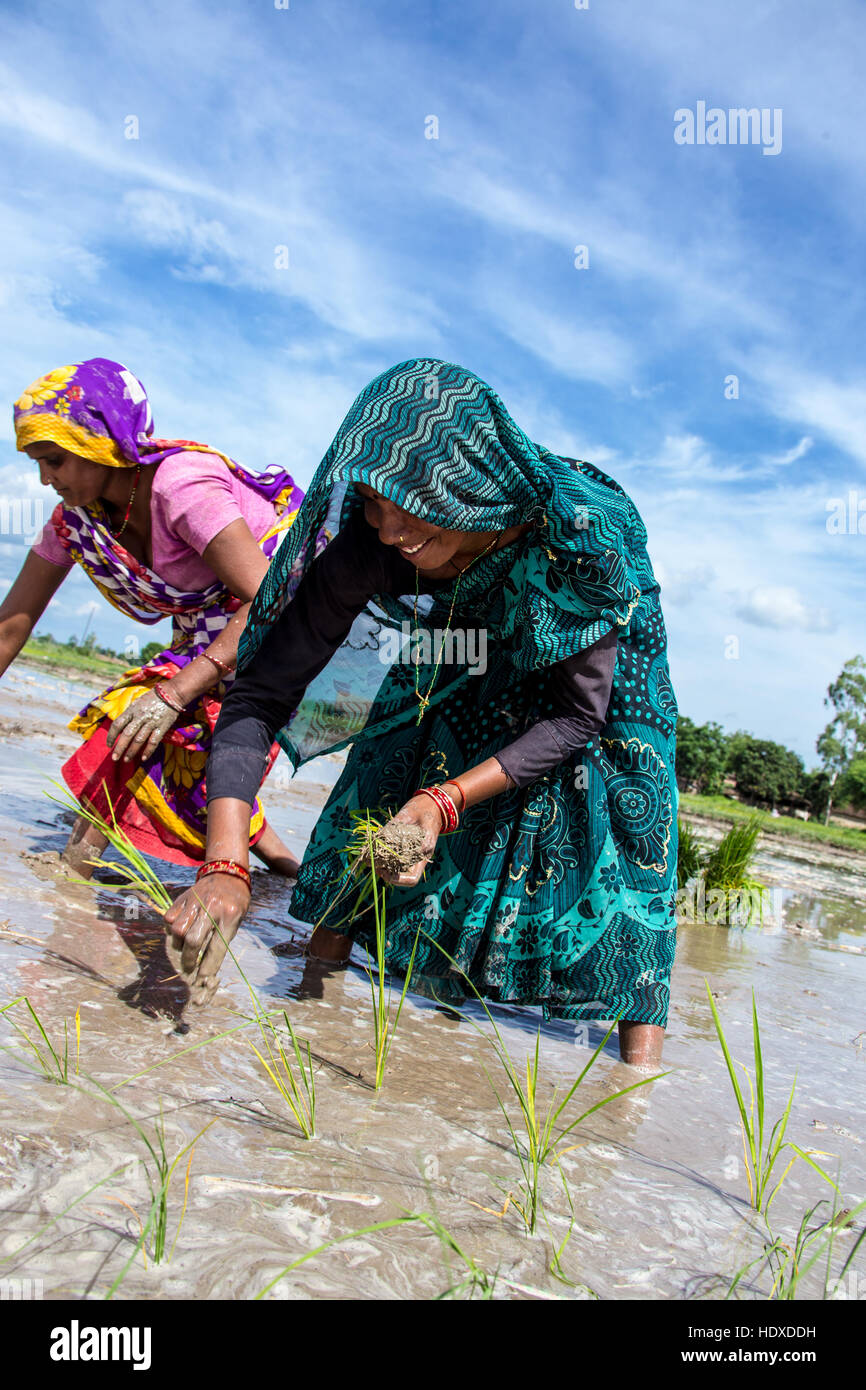 Terai Region Of Nepal High Resolution Stock Photography and Images - Alamy