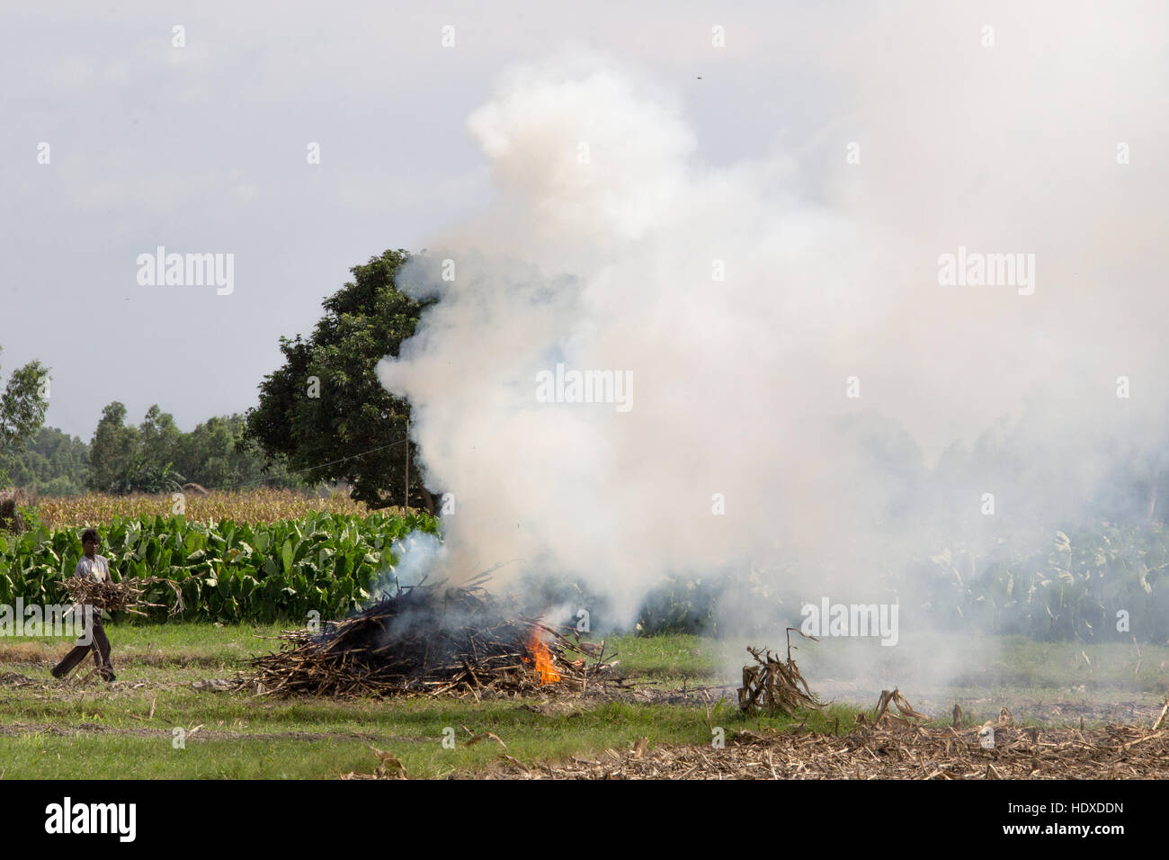 Burning field agriculture hi-res stock photography and images - Alamy